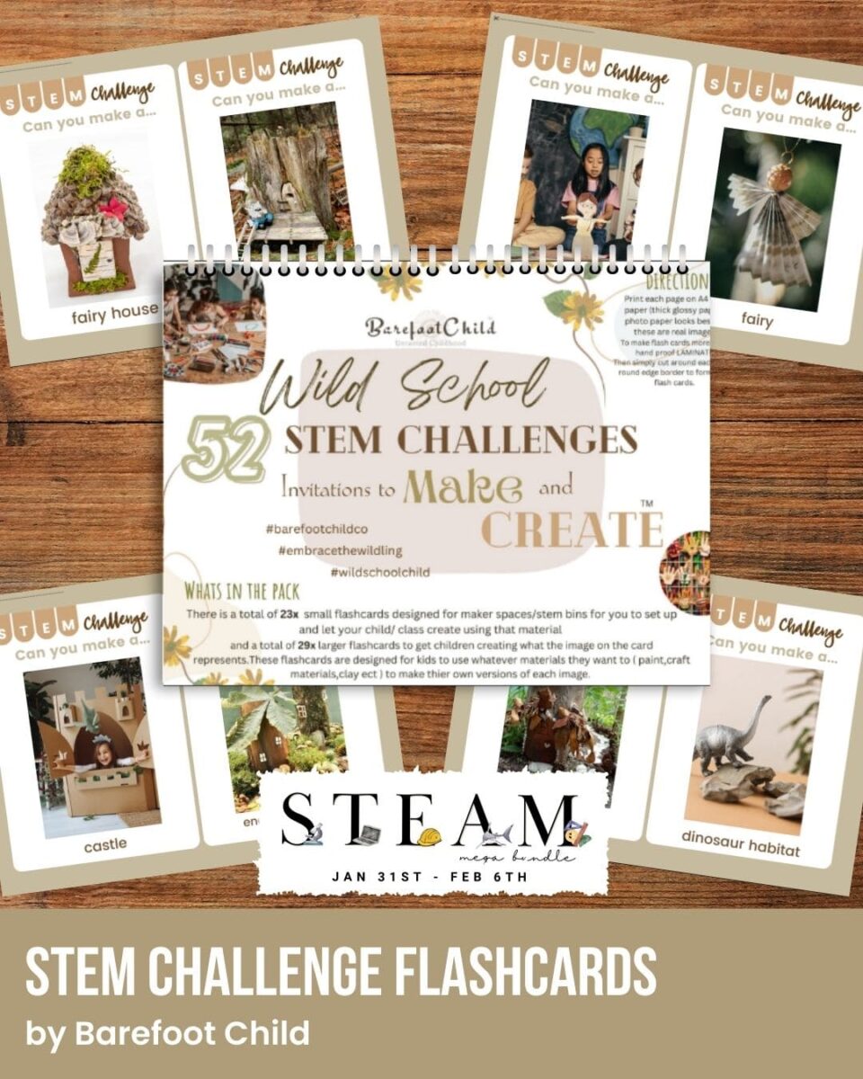 STEM Challenge Flashcards - The Art Kit