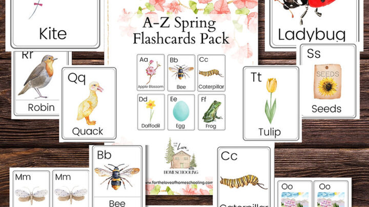 Limited Time FREEBIE: Spring A to Z Flashcards - The Art Kit