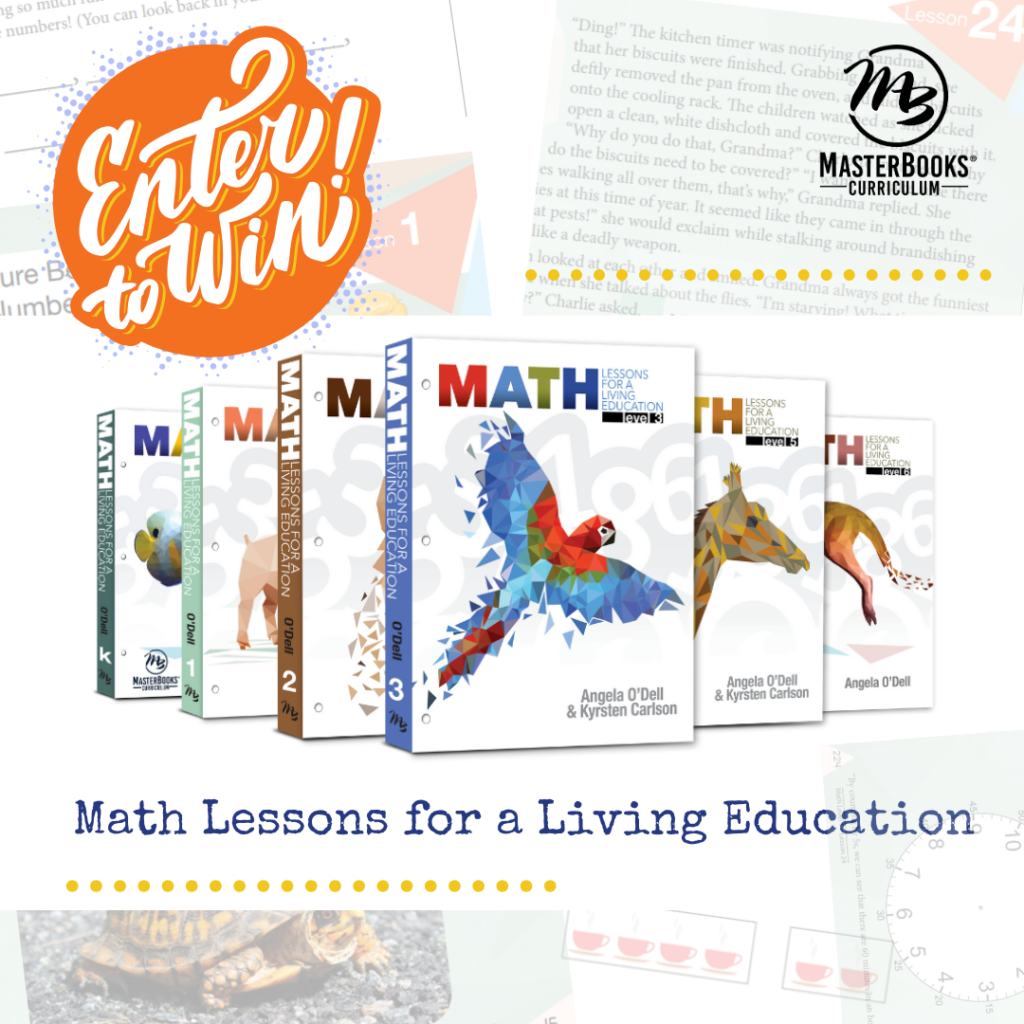 Master Books Math Grade 2 Review + A Giveaway! - The Art Kit