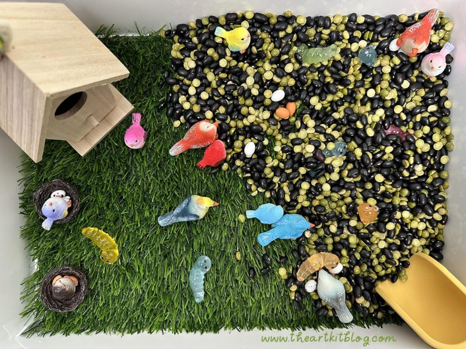 Bird Sensory Bin - The Art Kit