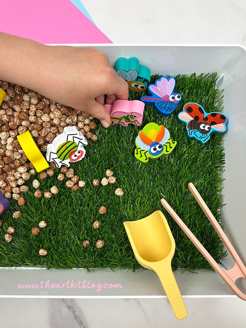 Bug Sensory Bin - The Art Kit