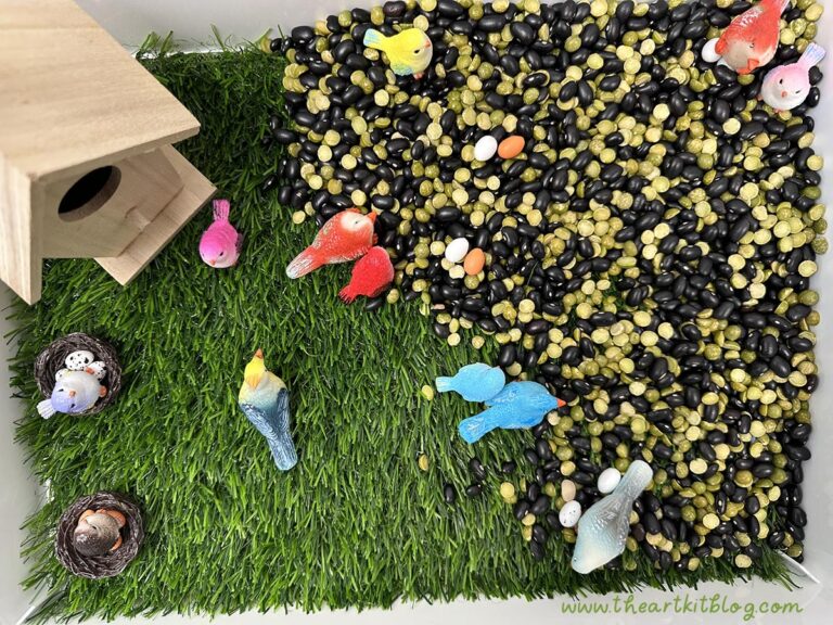 Bird Sensory Bin - The Art Kit