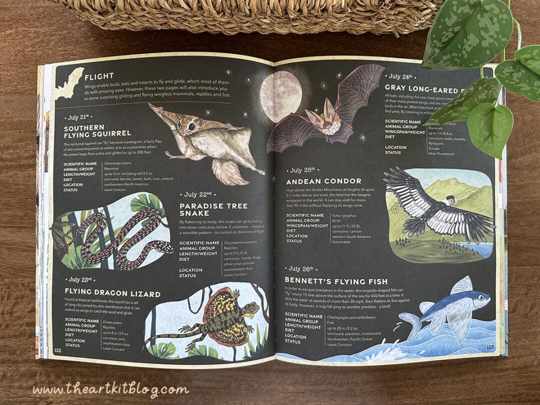 An Animal a Day Book - A Timberdoodle Review - The Art Kit