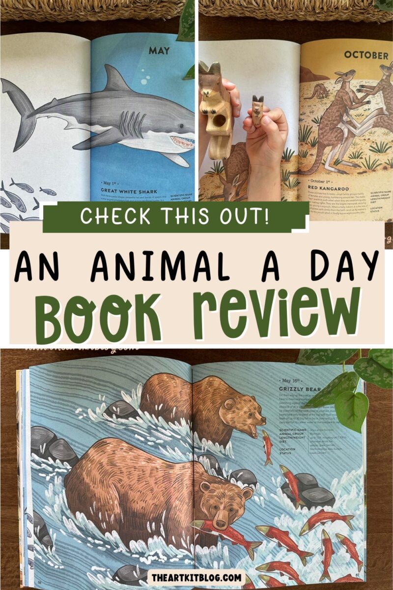 An Animal a Day Book - A Timberdoodle Review - The Art Kit