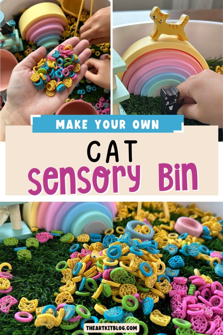 Cat Sensory Bin - The Art Kit