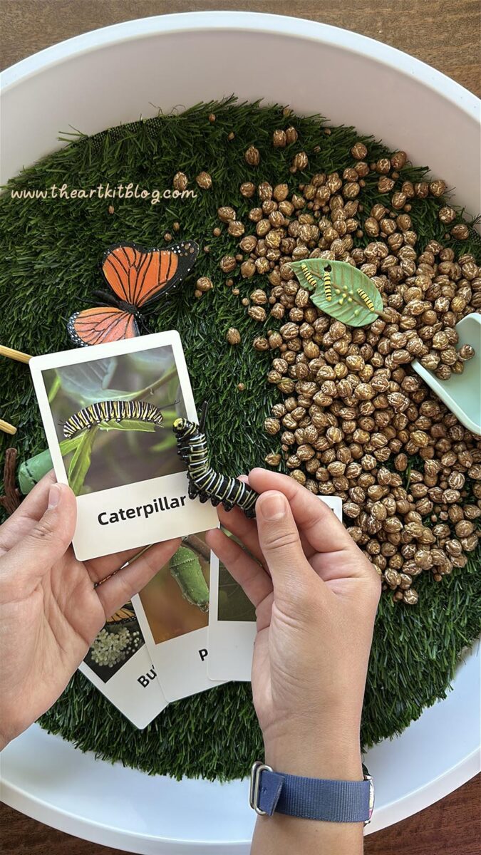 Caterpillar Life Cycle Sensory Bin - The Art Kit