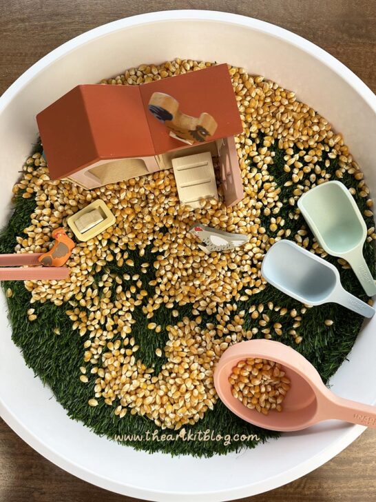 Chicken Coop Sensory Bin - The Art Kit