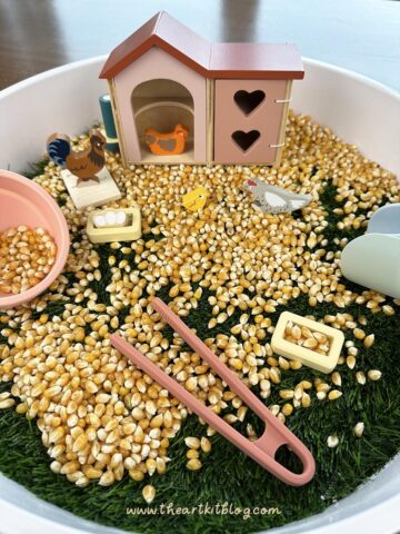Chicken Coop Sensory Bin - The Art Kit