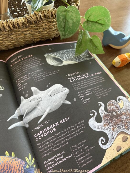 An Animal a Day Book - A Timberdoodle Review - The Art Kit