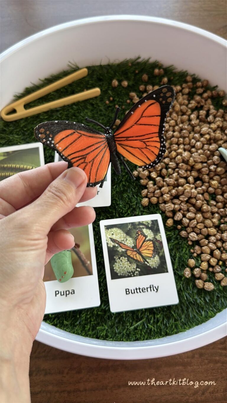 Caterpillar Life Cycle Sensory Bin - The Art Kit