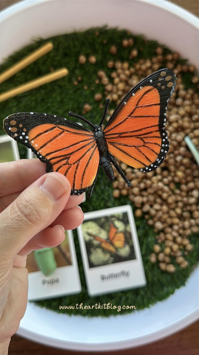 Caterpillar Life Cycle Sensory Bin - The Art Kit