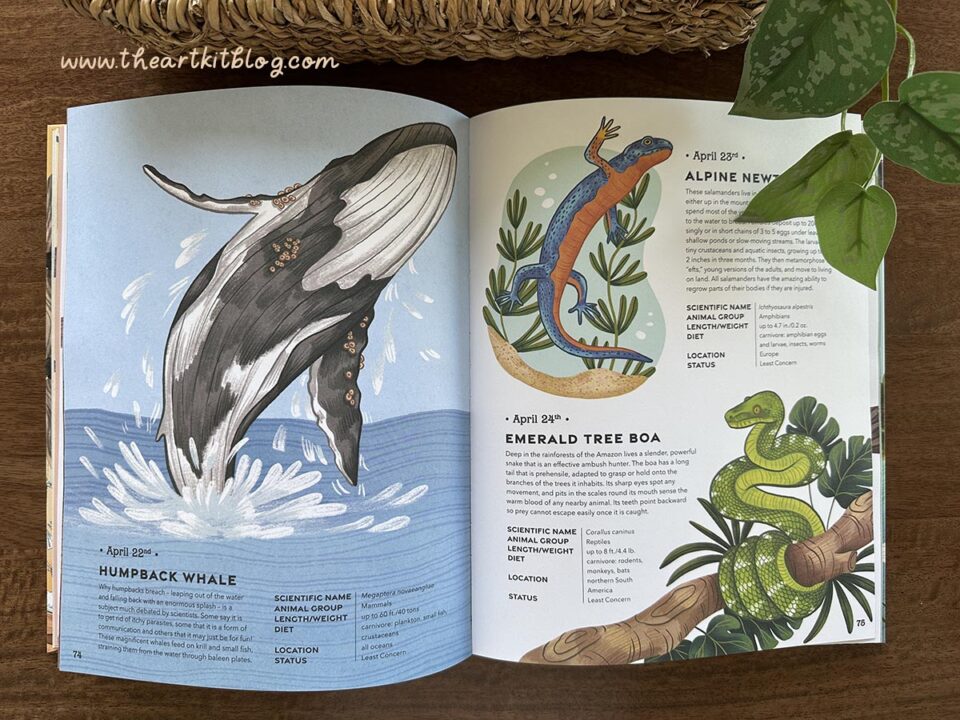 An Animal a Day Book - A Timberdoodle Review - The Art Kit