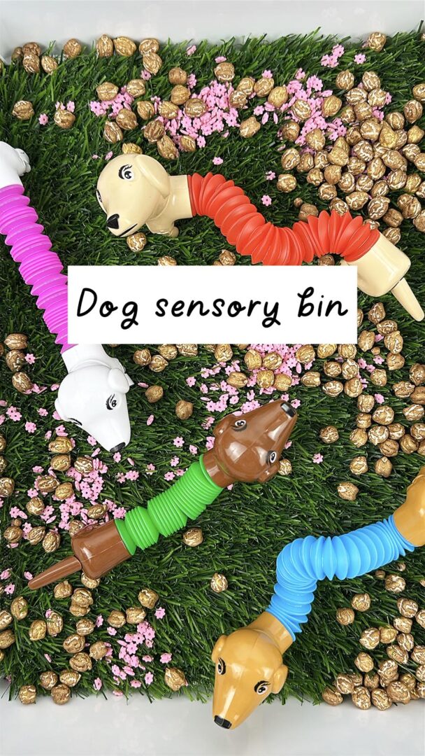 Dog Sensory Bin - The Art Kit