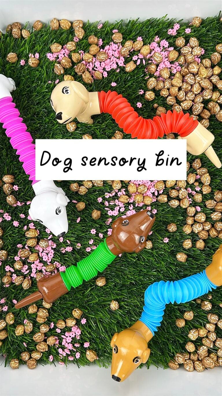 Dog Sensory Bin - The Art Kit