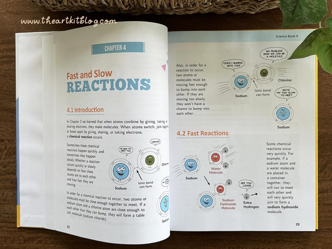 Real Science-4-Kids Book 4: Timberdoodle Review - The Art Kit