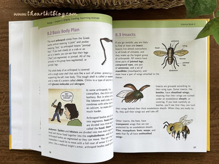Real Science-4-Kids Book 4: Timberdoodle Review - The Art Kit