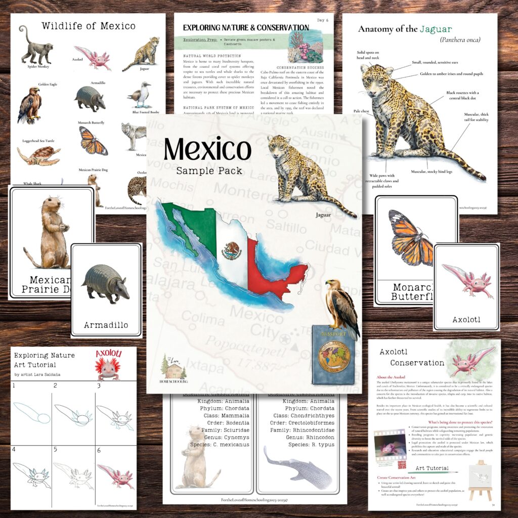 Limited Time Freebie: Mexico Wildlife Unit - The Art Kit